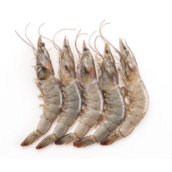 Meat & Seafood – FETA Mediterranean